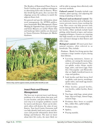 Specialty Cut Flower Production and Marketing | PDF
