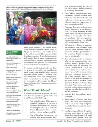 Specialty Cut Flower Production and Marketing | PDF