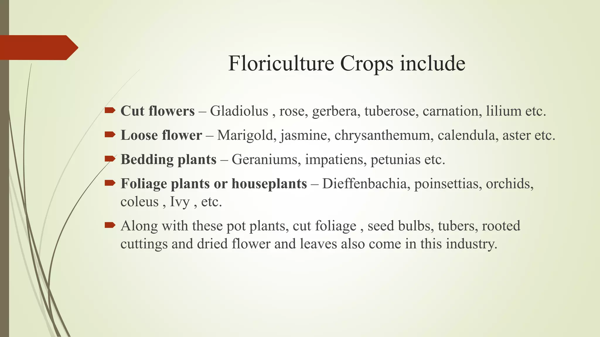 Cut flower | PPTX