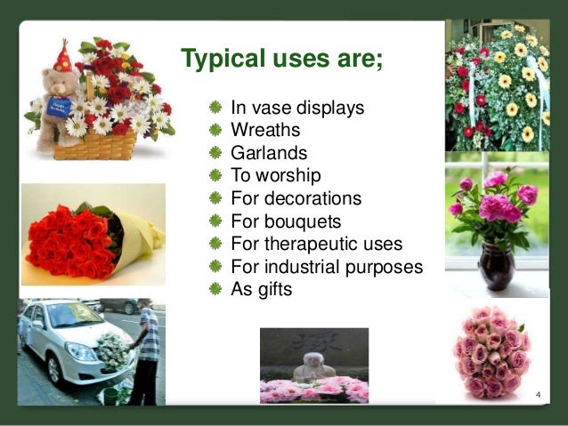 Cut flower production in sl