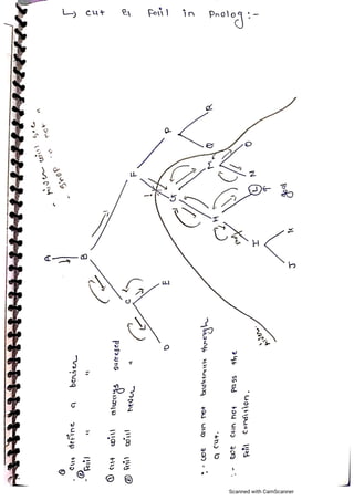 AI_Cuts in prolog | PDF | Programming Languages | Computing