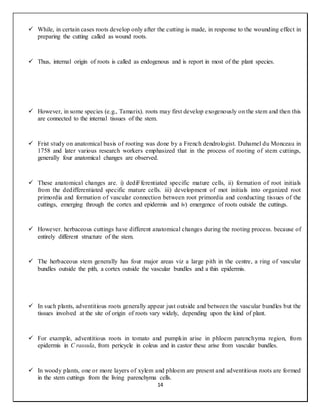 PROPAGATION METHOD: CUTTINGS | DOCX