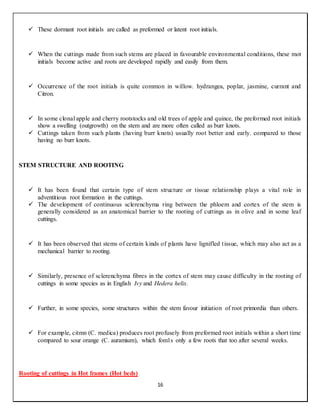 PROPAGATION METHOD: CUTTINGS | DOCX