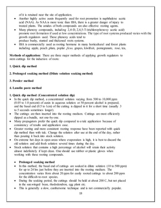 PROPAGATION METHOD: CUTTINGS | DOCX