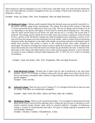 PROPAGATION METHOD: CUTTINGS | DOCX