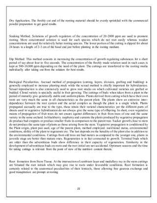 PROPAGATION METHOD: CUTTINGS | DOCX