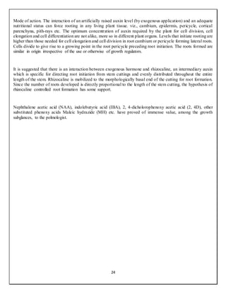 PROPAGATION METHOD: CUTTINGS | DOCX