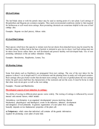 PROPAGATION METHOD: CUTTINGS | DOCX