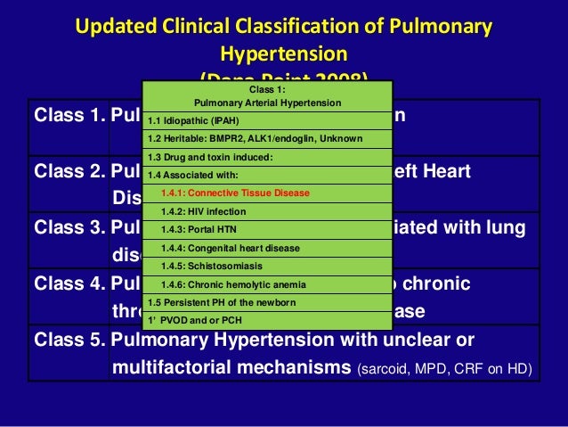 Pulmonary Arterial Hypertension, "The Other High Blood Pressure"