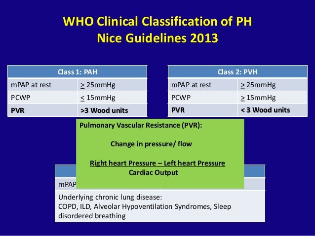 Pulmonary Arterial Hypertension: The Other High Blood Pressure