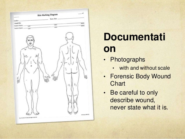Cutting and Stabbing Wounds - Criminal Documentation
