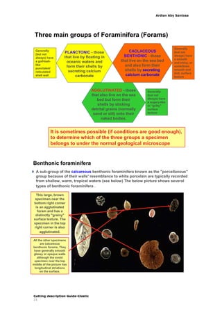 Cuttings descriptions-clastic | PDF
