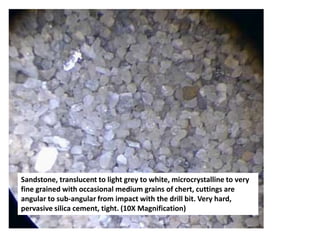 Rock Cuttings from the Hibernia Field | PPTX