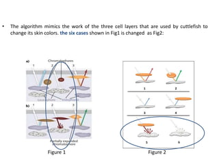 Cuttlefish optimization algorithm 1 CFA ppt lecture slide | PPT