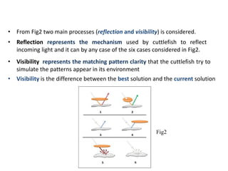 Cuttlefish optimization algorithm 1 CFA ppt lecture slide | PPT