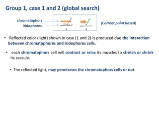 Cuttlefish optimization algorithm 1 CFA ppt lecture slide | PPT