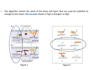 Cuttlefish optimization algorithm 1 CFA ppt lecture slide | PPT