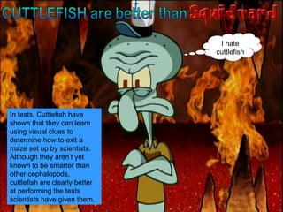 Cuttlefish presentation (3) | PPT