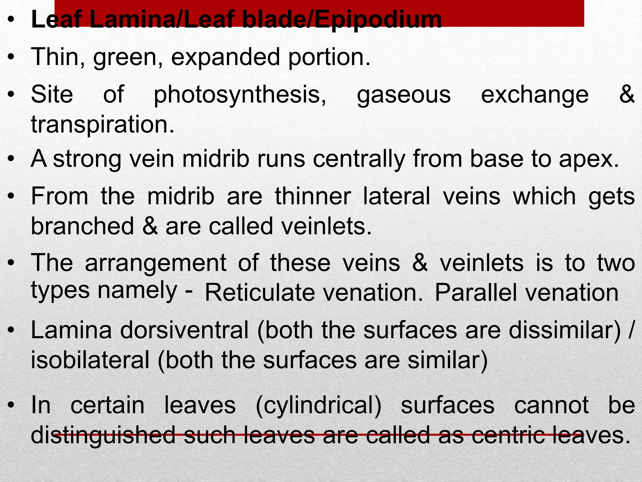 Chapter_9_Morphology_of_Flowering_Plants.pptx