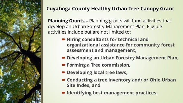 Cuyahoga County Healthy Urban Tree Canopy Grant Workshop