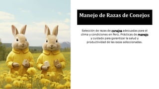 Optimización de la Producción y Manejo de Líneas de Cuy y Razas de ...