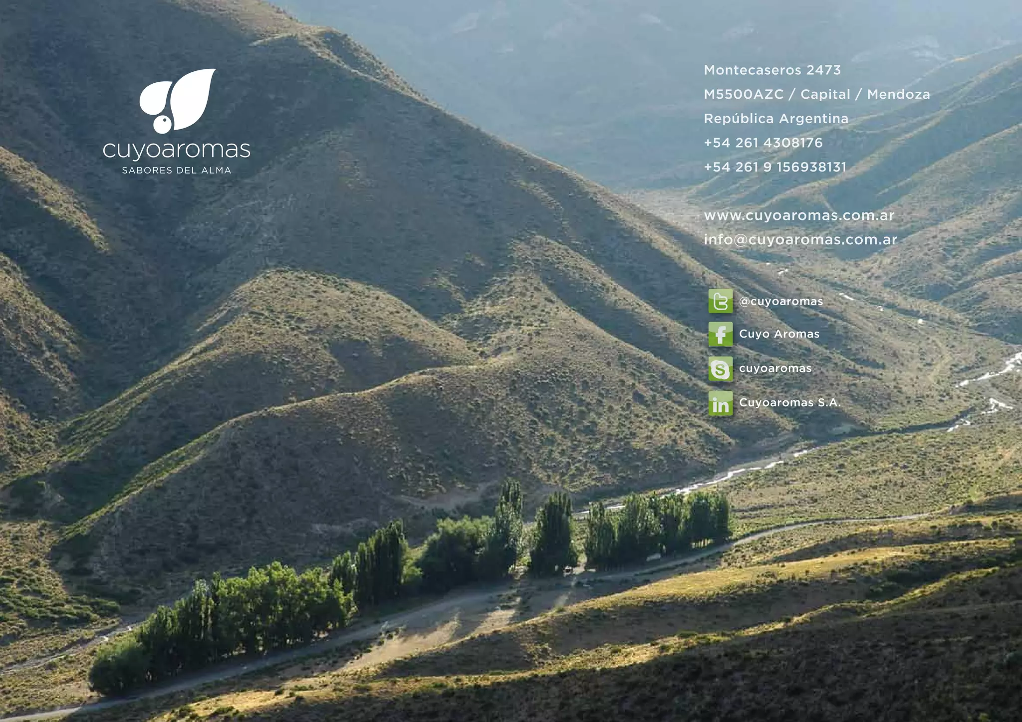 Cuyoaromas S.A.- English | PDF