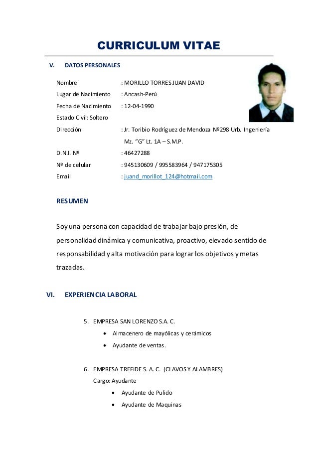 Modelo Curriculum Vitae Conductor Profesional