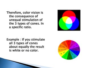 colour vision | PPTX | Eye and Vision Conditions | Diseases and Conditions