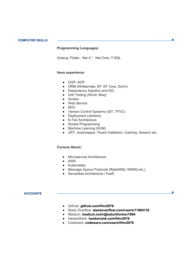 CV | PDF | Programming Languages | Computing
