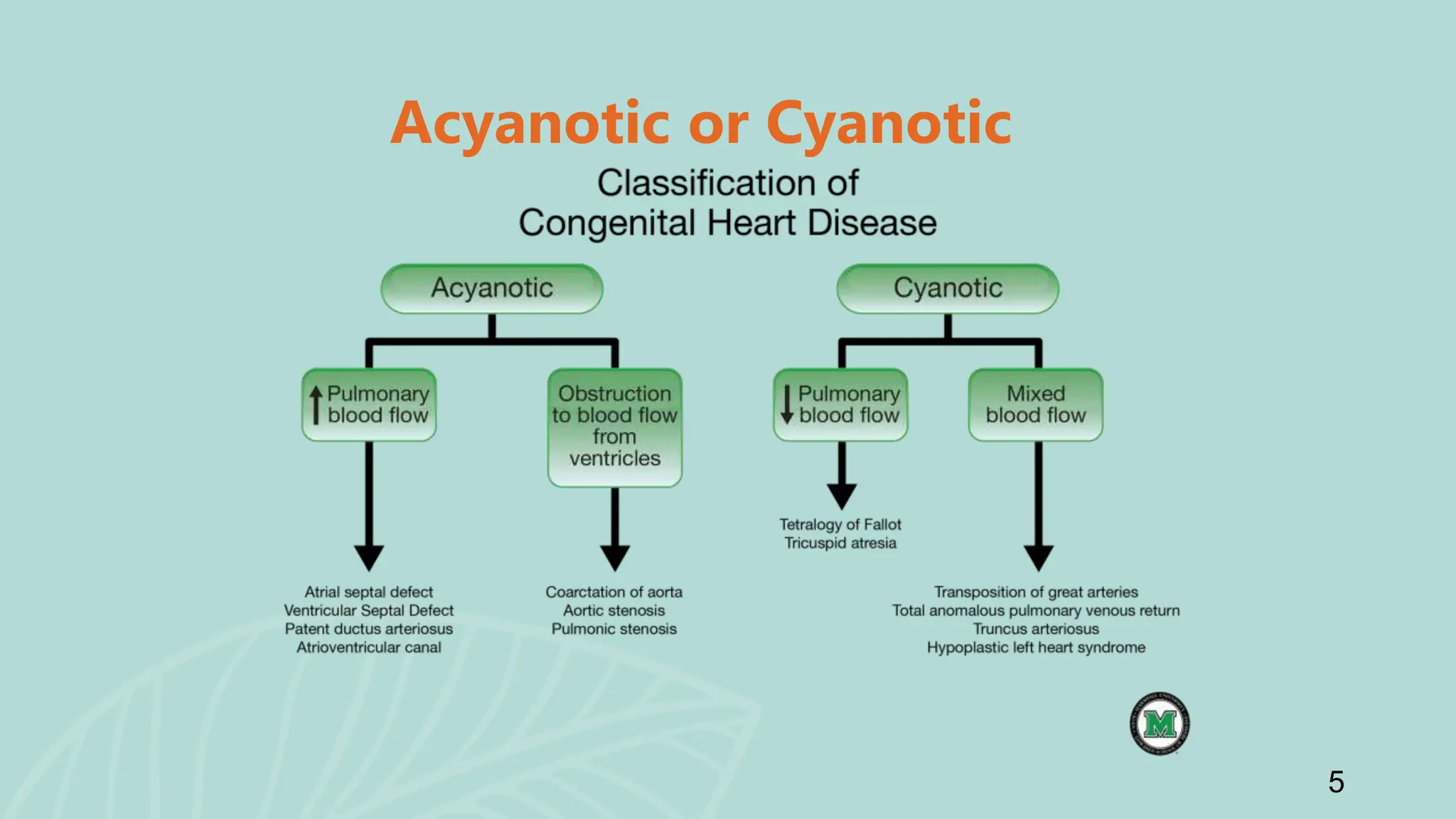Cardiovascular disease: Acyanotic and Cyanotic Congenital Heart Defects ...