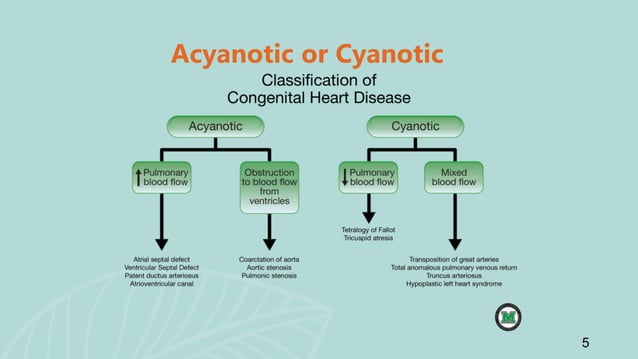 Cardiovascular disease: Acyanotic and Cyanotic Congenital Heart Defects ...