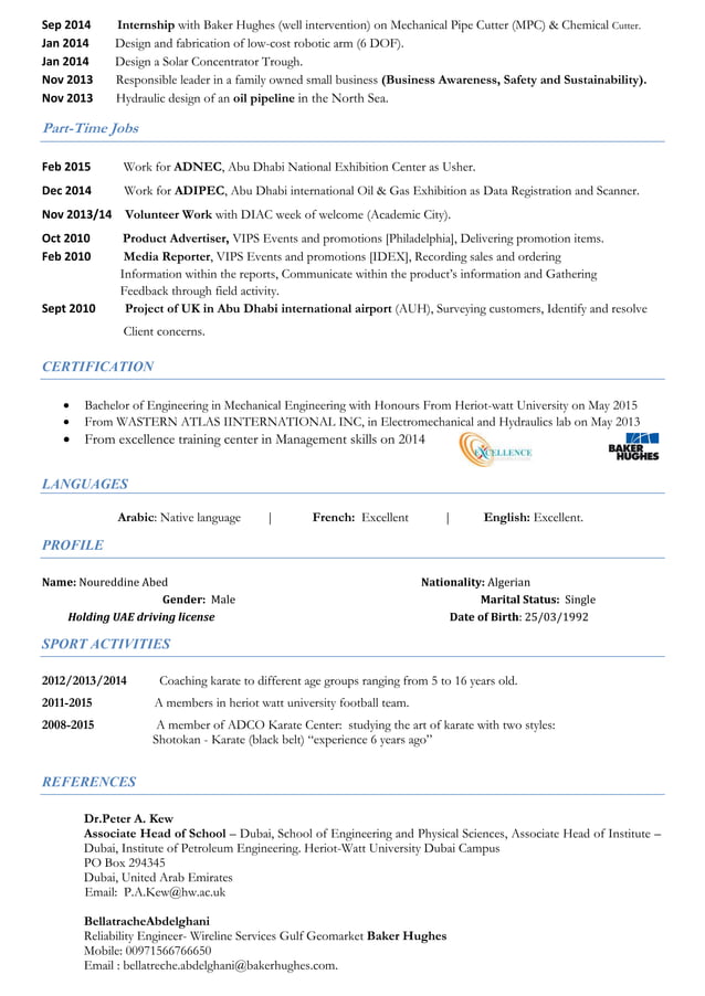 Cv abed nouraddine | PDF