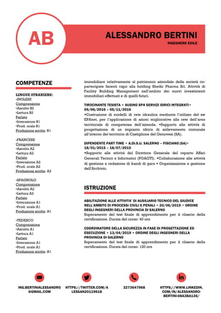 CV-Alessandro Bertini | PDF