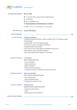 CV Burca Vlad | PDF