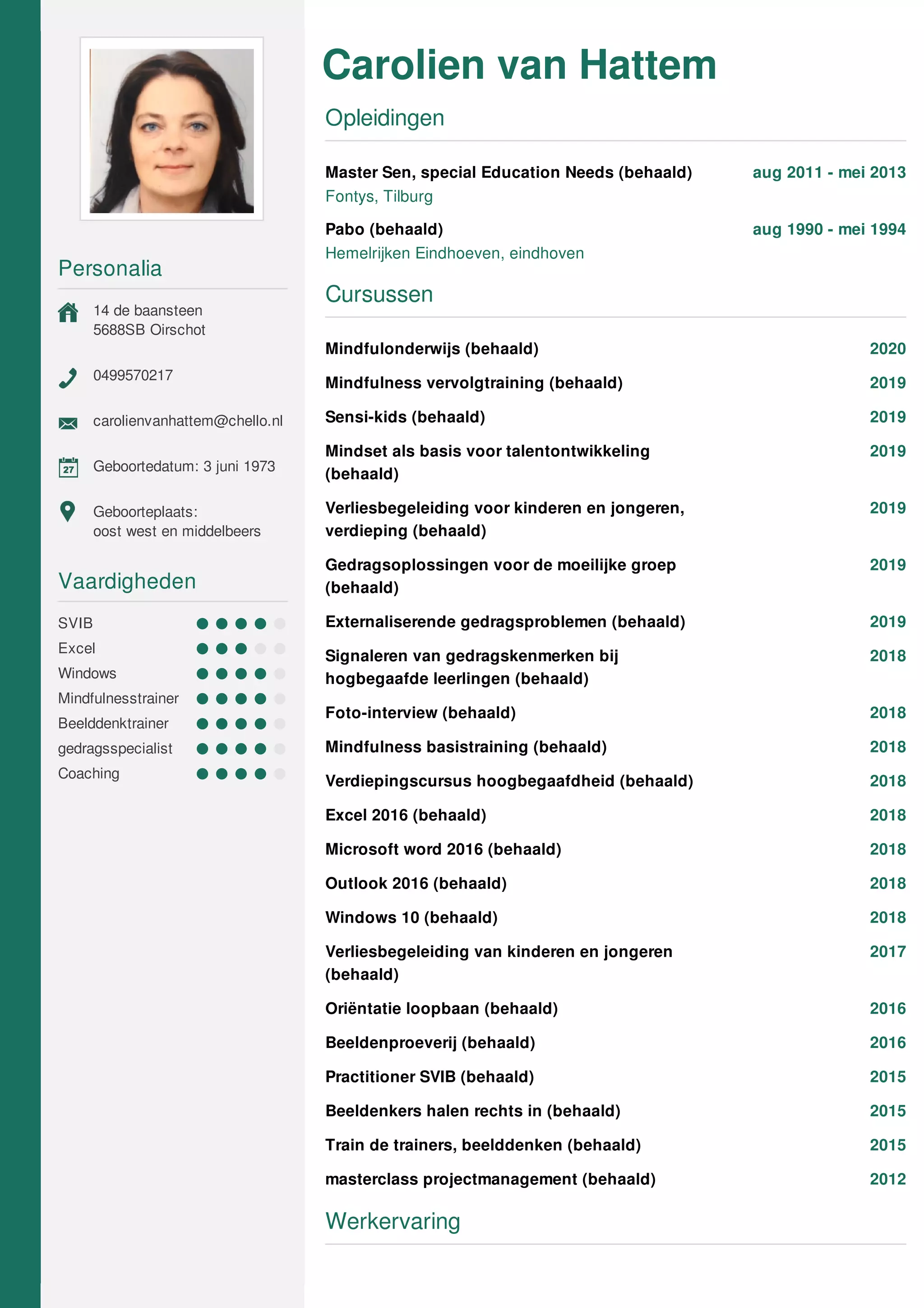 Cv carolien-van hattem-23629 | PDF