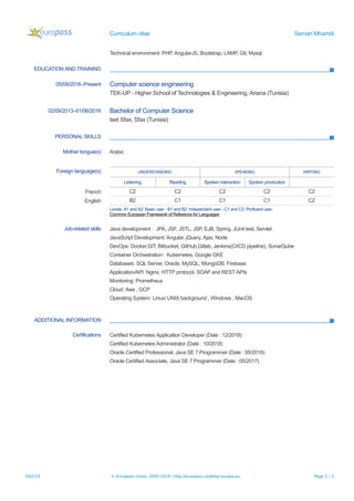 Cv mhamdi semah | PDF | Web Development | Internet