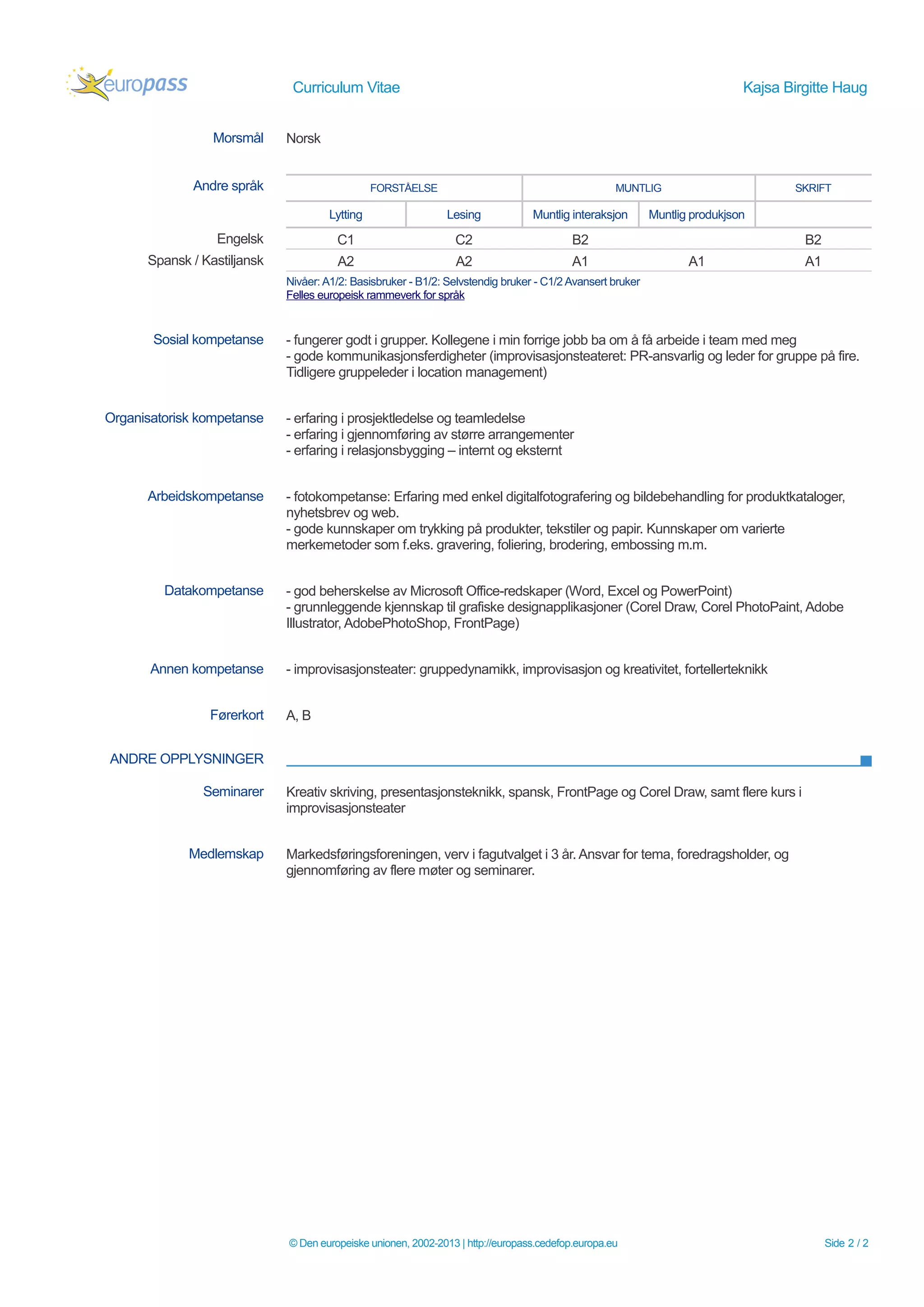 Cv example-1-no no | PDF