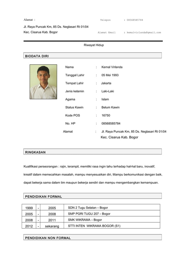 Cv kemal virlanda | PDF