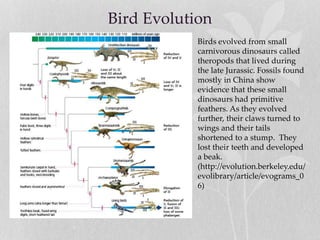 Christmas Valley- Lab Field Assignment | PPT