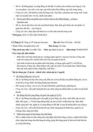 Cv le hoang anh | DOC