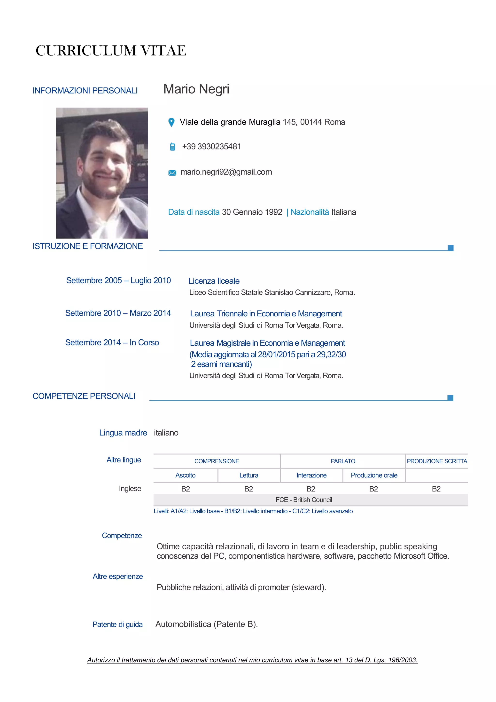 CV mario negri | PDF | Technology & Computing