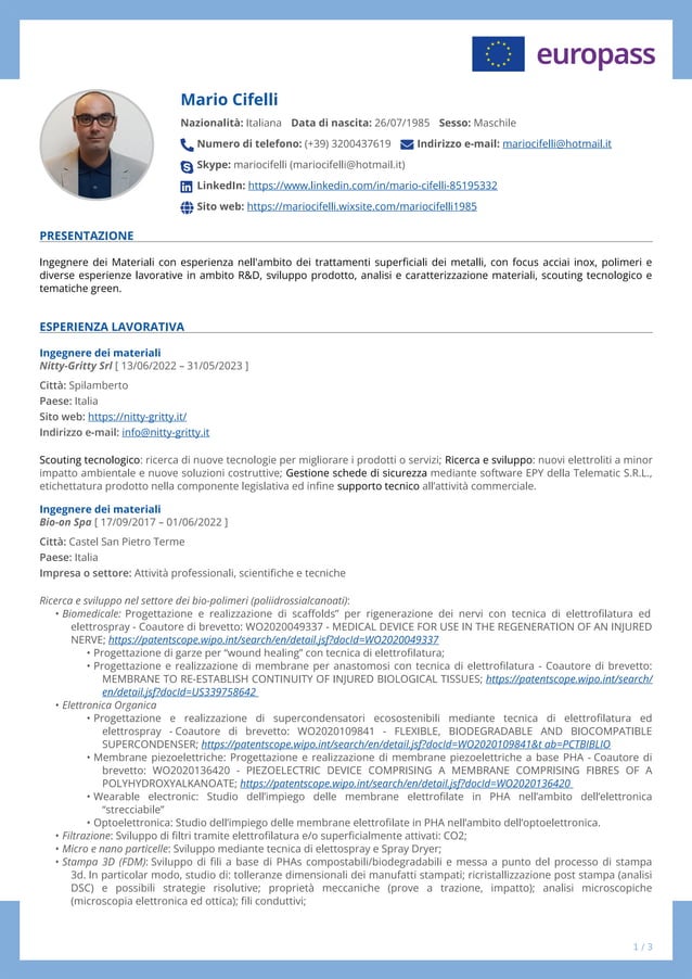 CV - Mario Cifelli | PDF