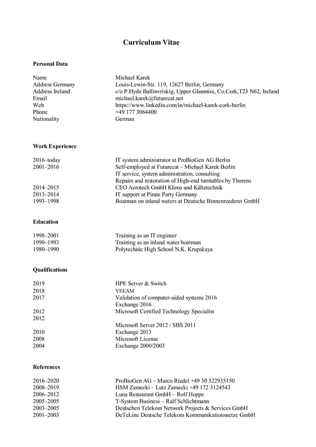 CV Michael Karek | PDF