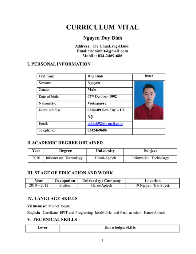Cv nguyen duy binh | DOCX | Programming Languages | Computing