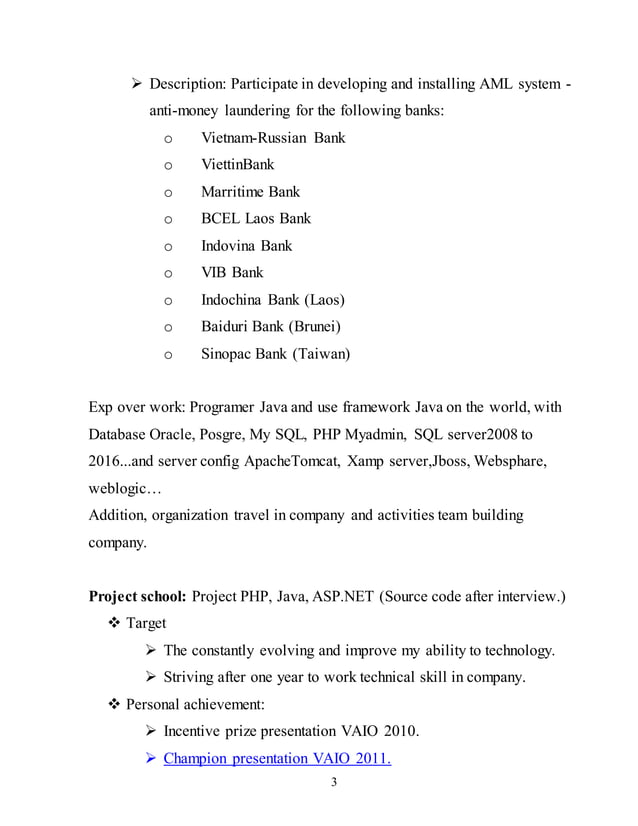 Cv nguyen duy binh | DOCX | Programming Languages | Computing