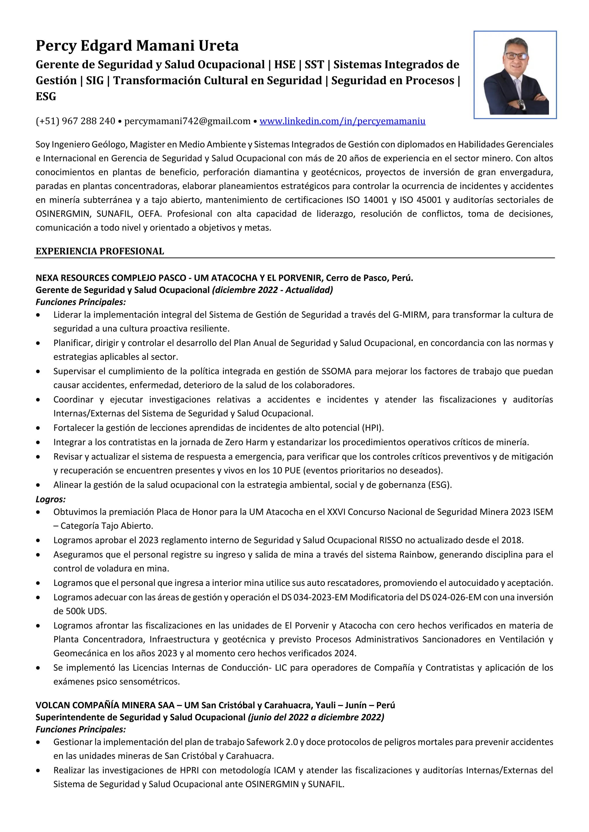 ESTRUCTURA CURRICULUM VITAE - PERCY MAMANI | PDF