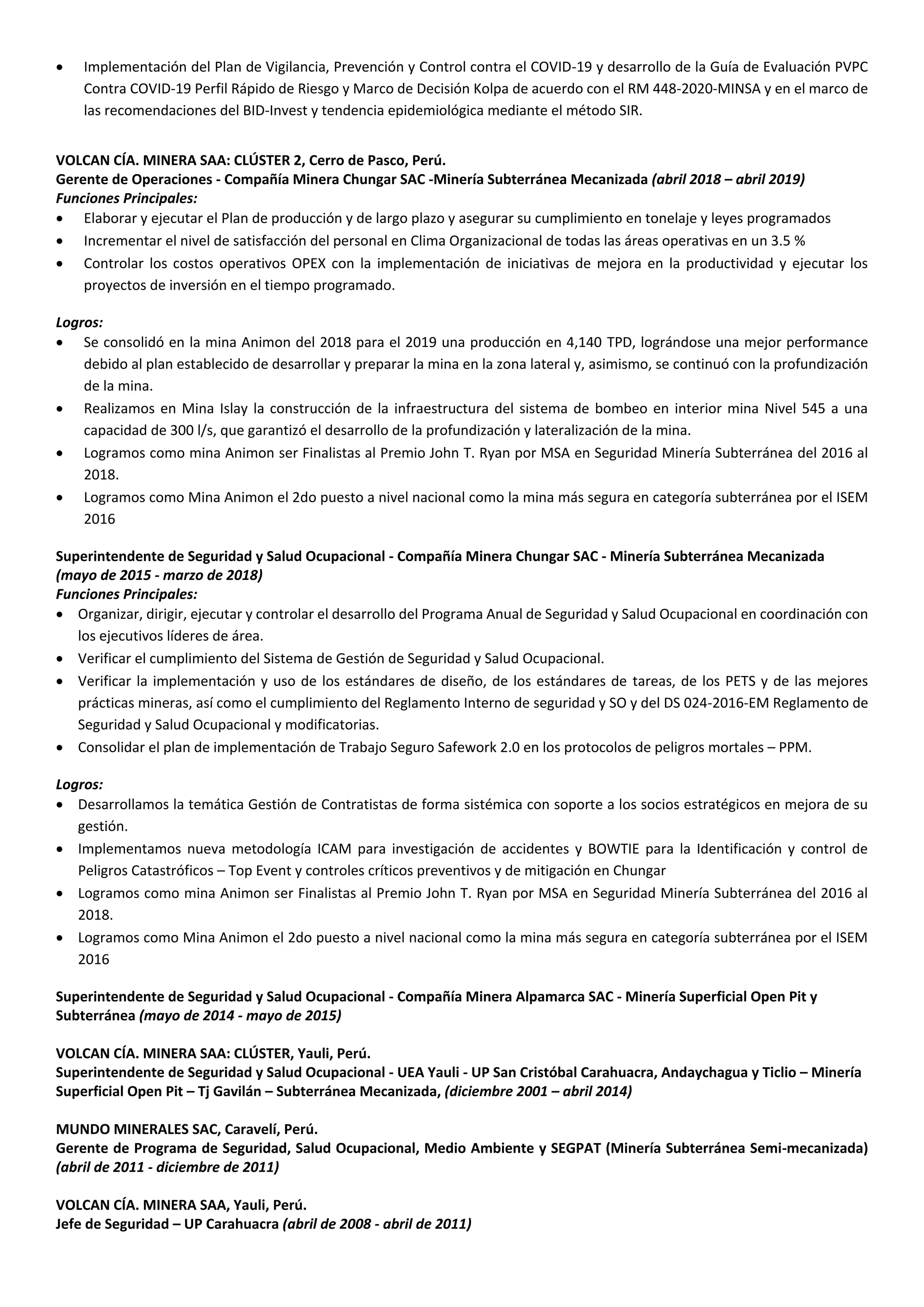 ESTRUCTURA CURRICULUM VITAE - PERCY MAMANI | PDF