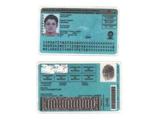 CV-ROY PETER MELENDEZ (2) (1).docx