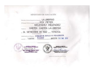 CV-ROY PETER MELENDEZ (2) (1).docx