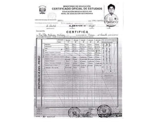 CV-ROY PETER MELENDEZ (2) (1).docx